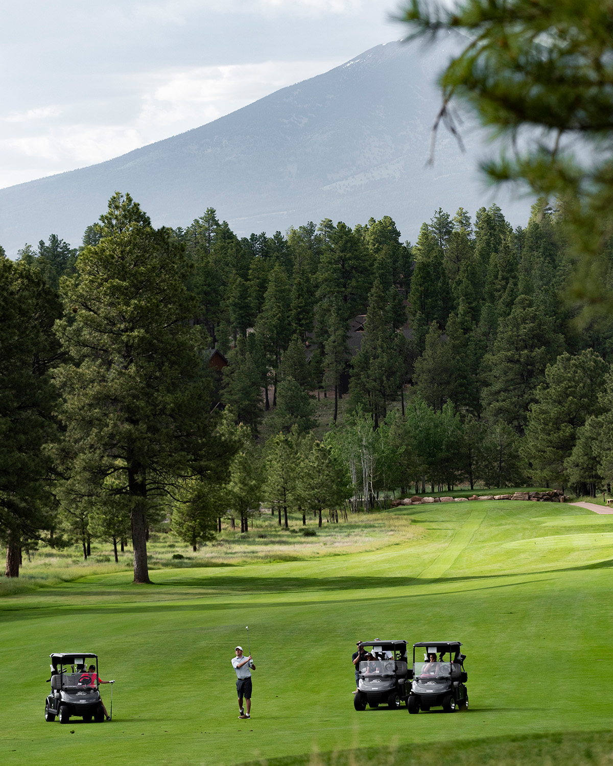 Golf Courses in Flagstaff | Pine Canyon