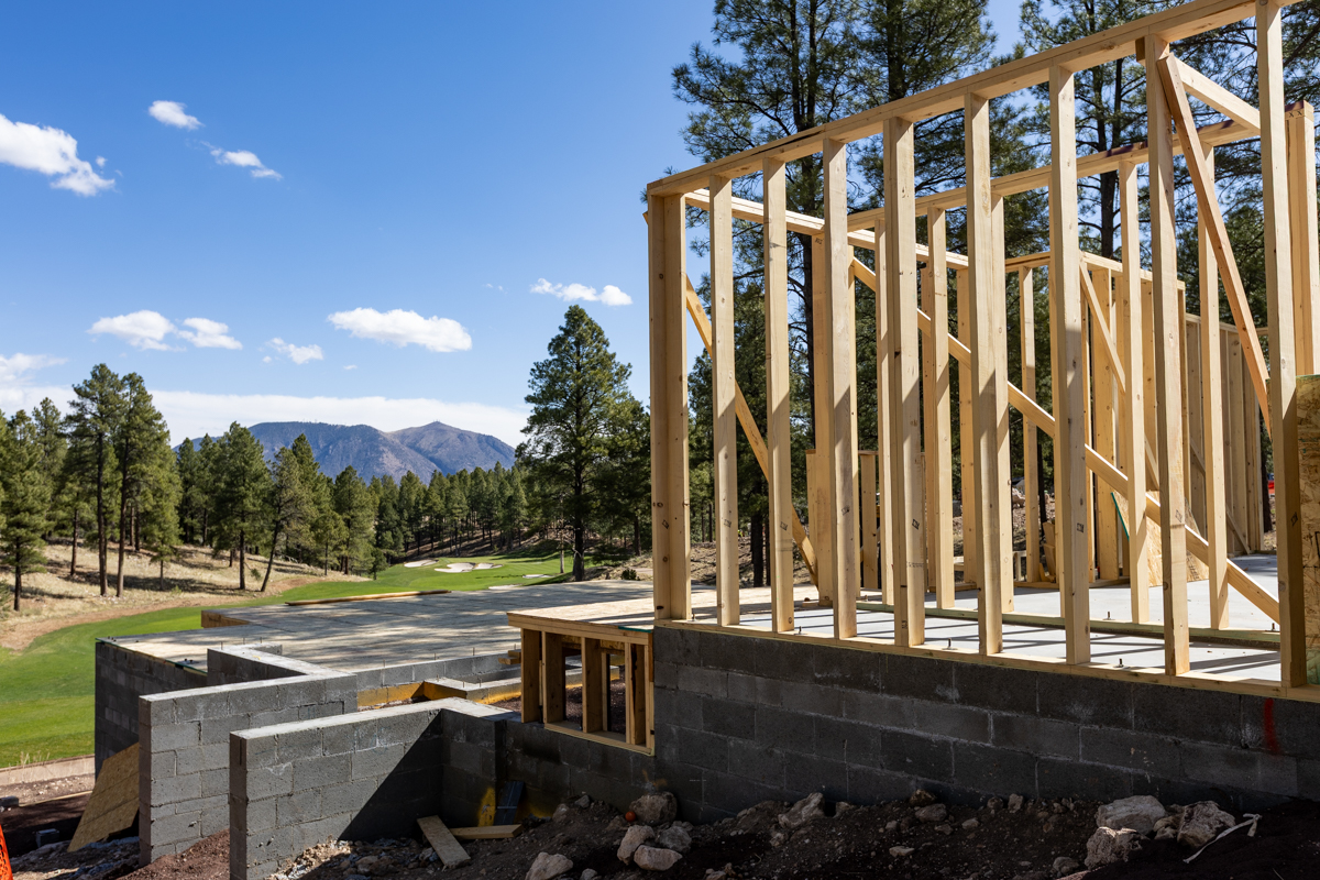 Ghost Tree Construction Update #2: Walls Up, Home Taking Shape - Pine Canyon